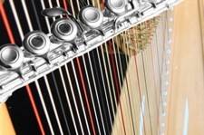 Flute & Harp | Ensembles | Pamela Sklar, flutist